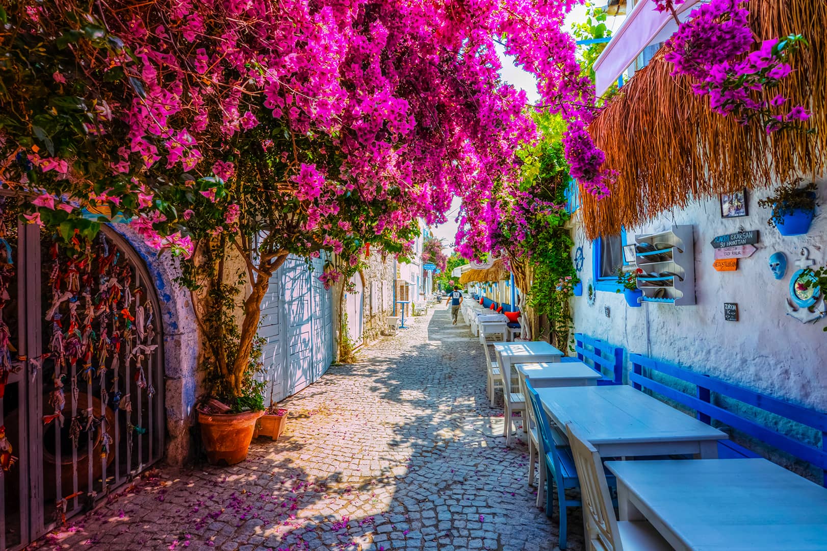 Alacati City Guide: Hotels, Beaches, and Bars l Teknevia